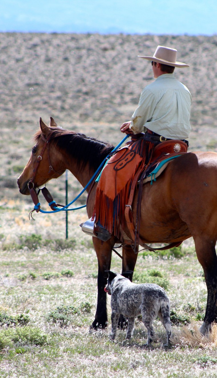 People of the Great Basin - Great Basin Water Network