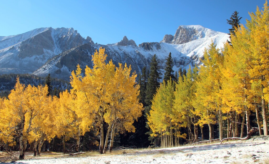 SIGN THE PETITION: PROTECT GREAT BASIN NATIONAL PARK'S WATER - Great ...