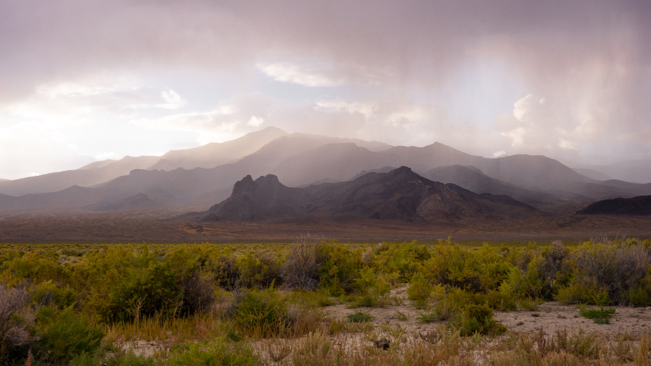 Home Page - Great Basin Water Network