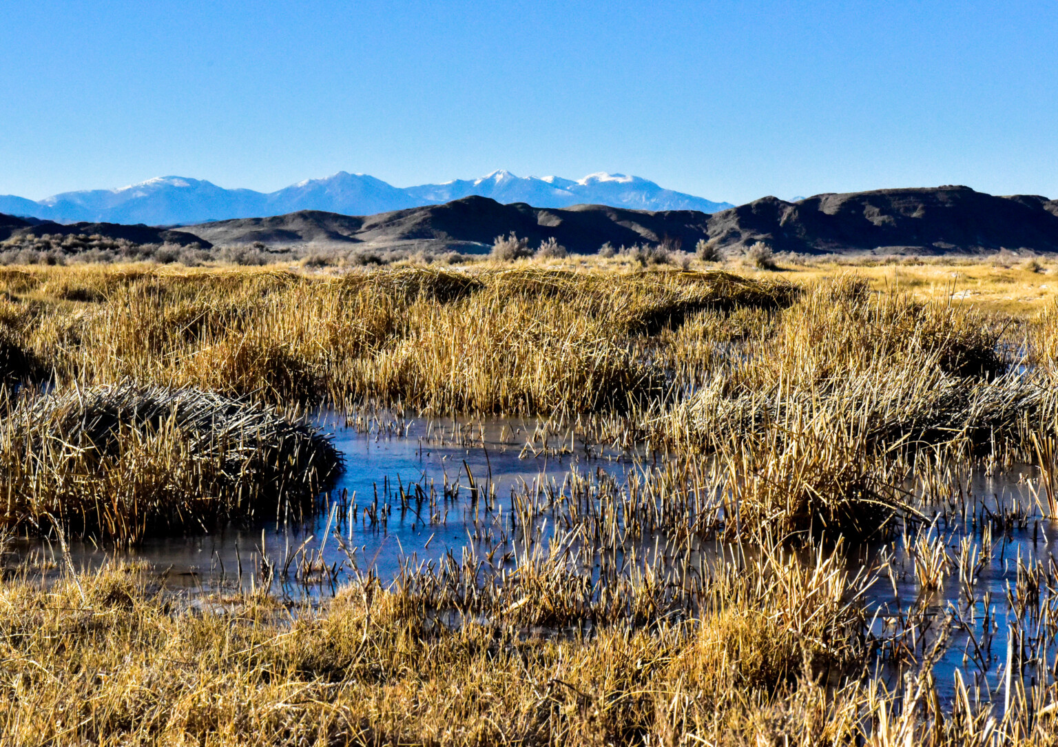 BLM RELEASES CEDAR CITY FEIS, COALITION RESPONDS - Great Basin Water ...