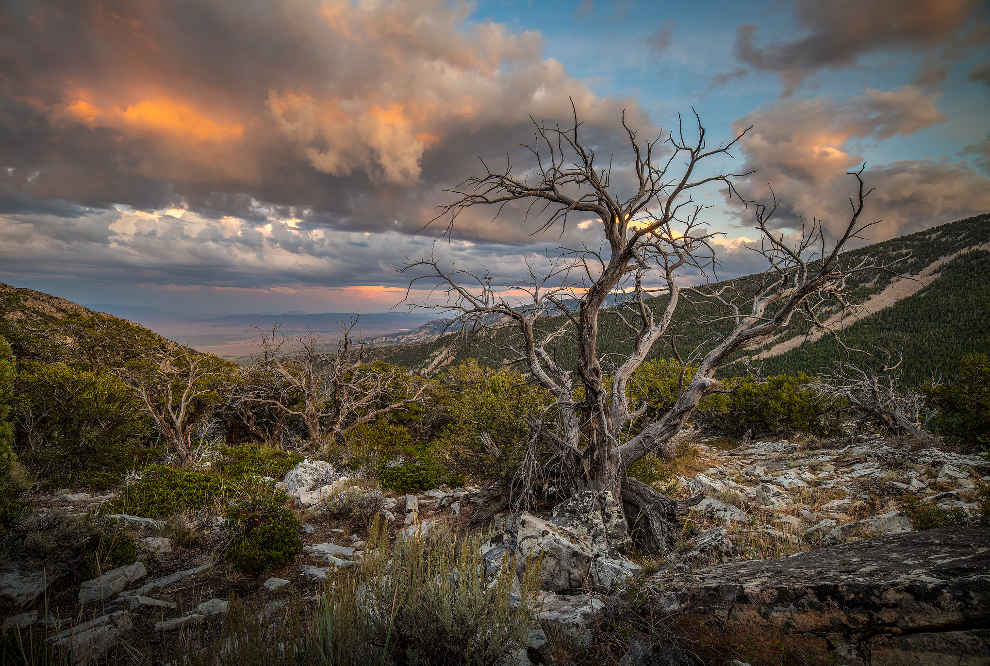 Double Your Impact - Great Basin Water Network