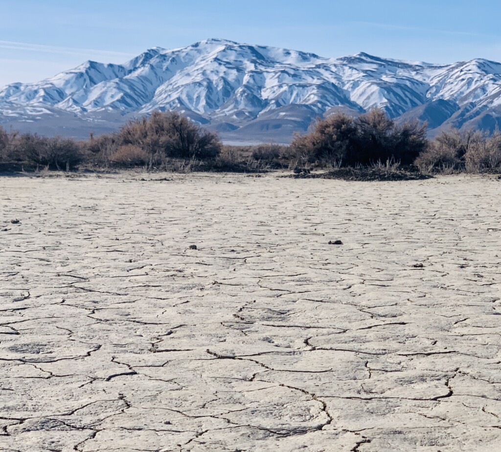 LET THE BILLS FLOW - Great Basin Water Network