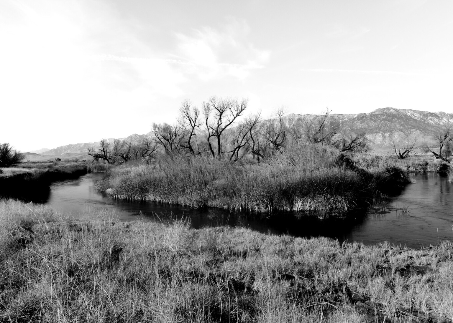 GBWN and Partners At Our Third Annual Great Basin Water Justice Summit ...